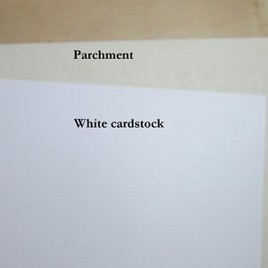 Fantasy Map of Chicago - Etsy