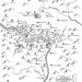 Fantasy Maps of Virginia Cities: Richmond, Charlottesville ...