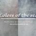 Colors of the Sea Hand Painted Textures and Backgrounds - Etsy