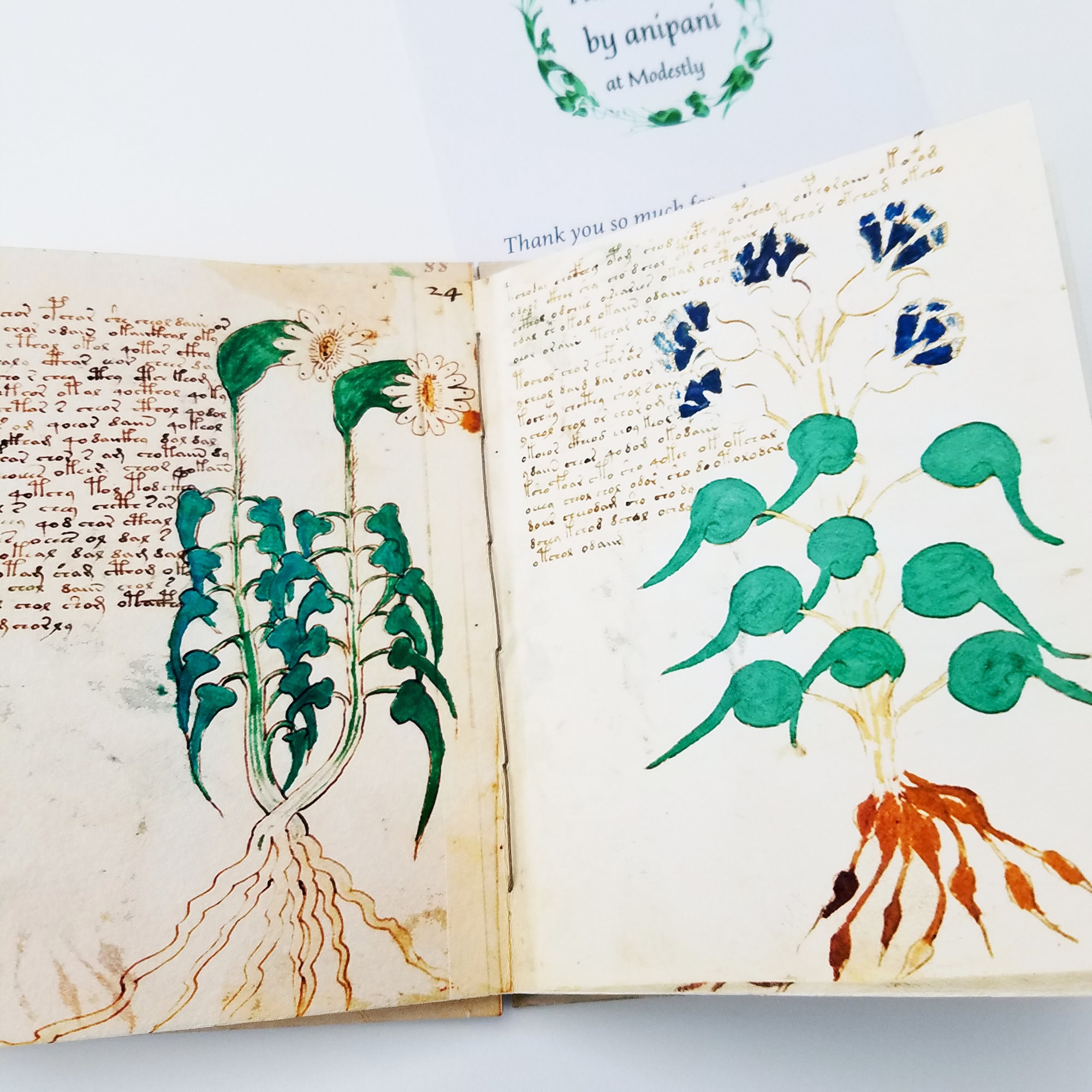 Voynich Manuscript Plants