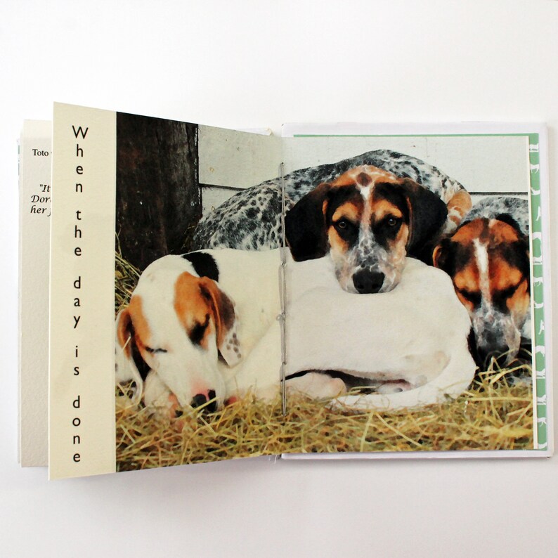 Handmade Book Celebrating Dogs Personalised Letterbox Gift - Etsy UK