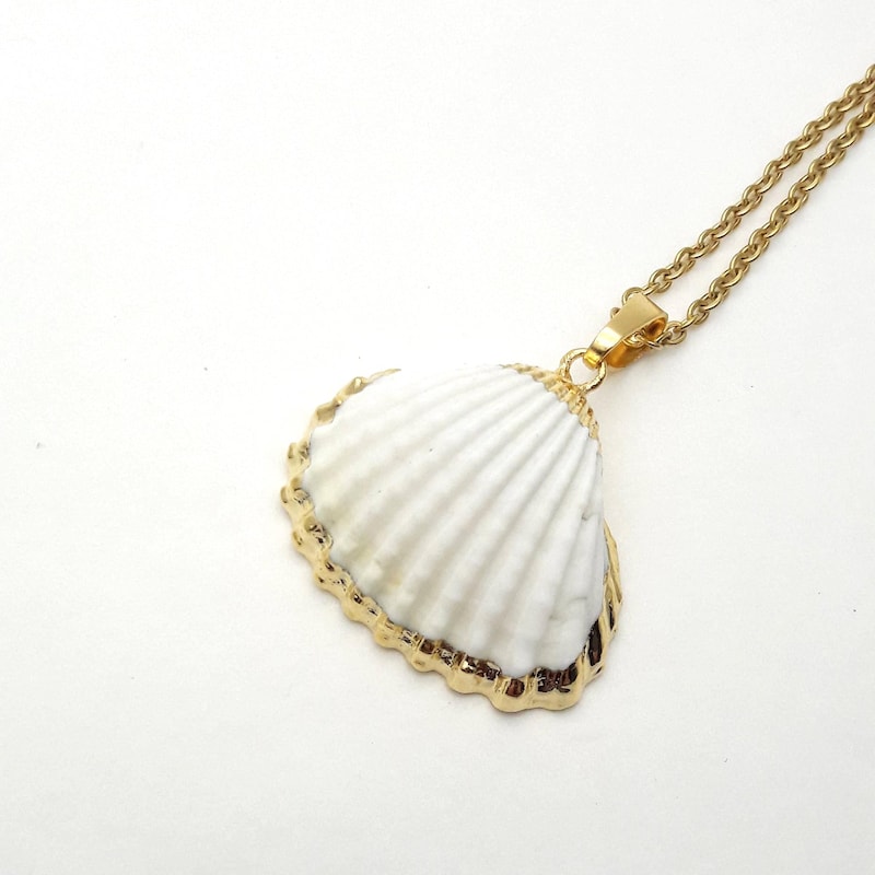 Real Seashell Necklace - Etsy