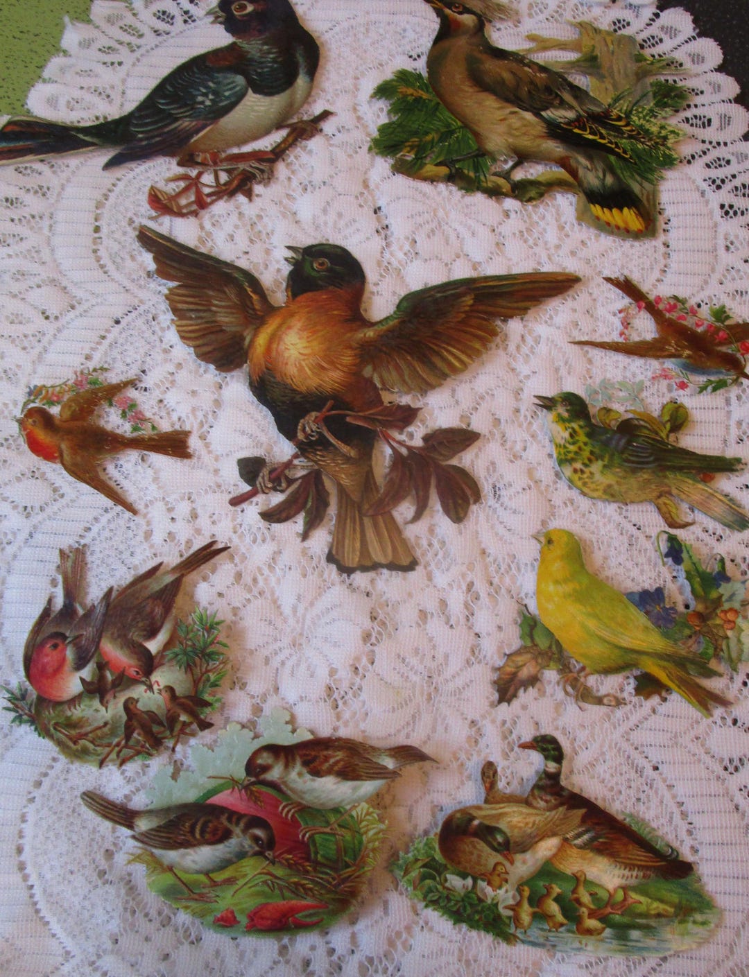 10, Victorian Die Cuts, Bird Die Cuts, Vintage Die Cuts, Antique Paper ...