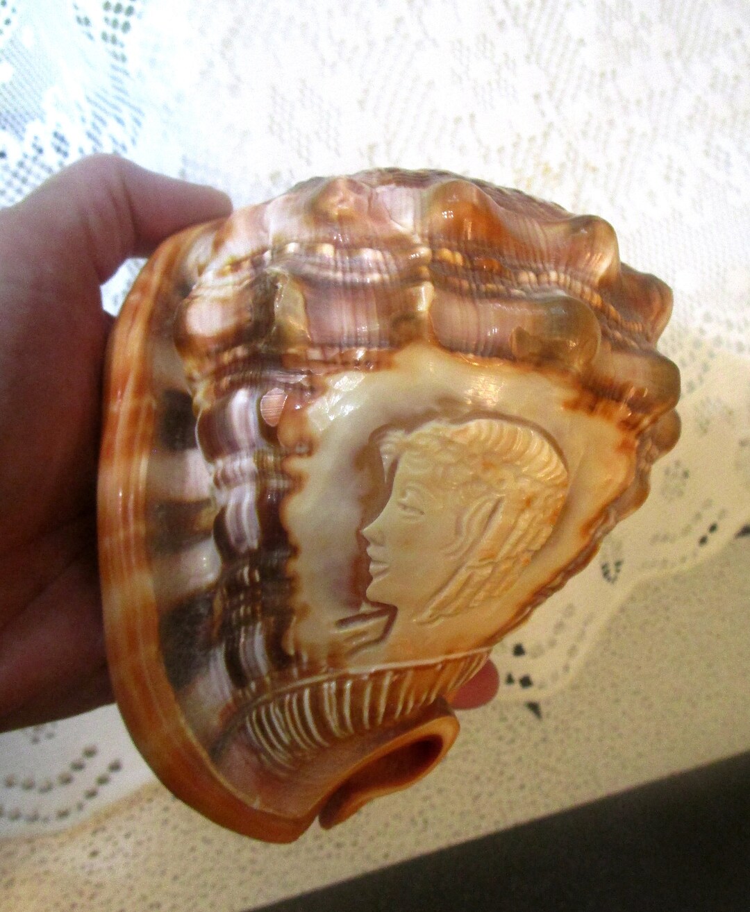 Cameo Seashell, Made in Italy, Carved Seashells, Beach Decor, Seashells ...