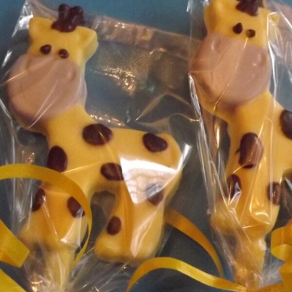 Safari Chocolate - Etsy