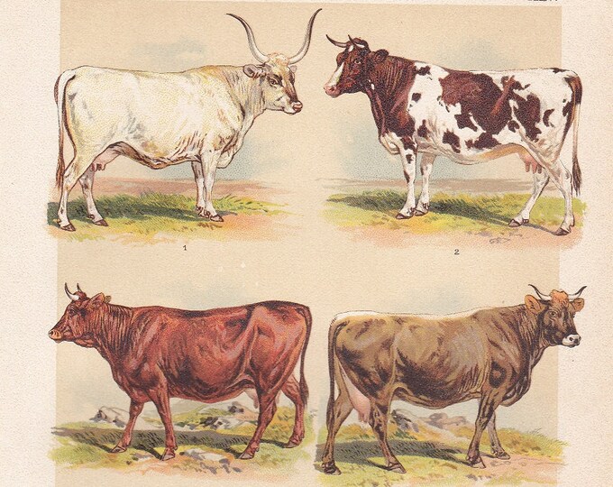 This item is unavailable - Etsy