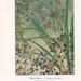 1919 CLUB-RUSH, Bulrush or Common TULE Scirpus Lacustris and American ...