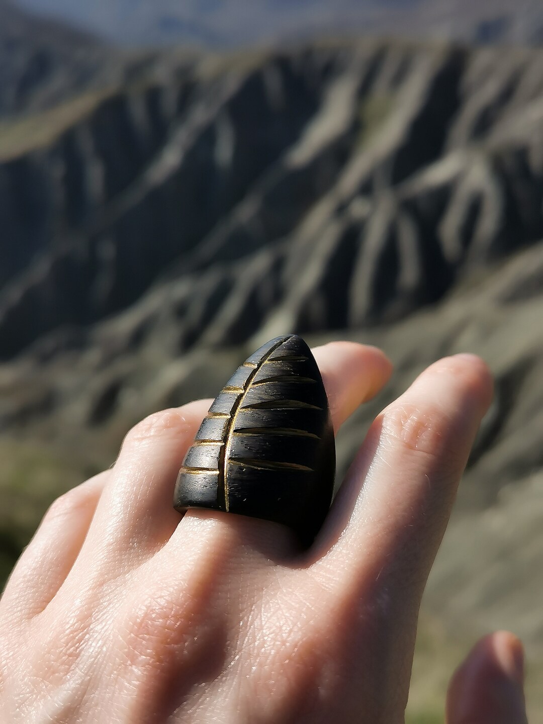 GOLD LEAF ARMOUR / Bog Oak Gold Enamel Painted Ring / Black Fossilized ...