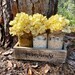 Farmhouse Mason Jar Set, Wedding Reception Accent, Farmhouse Design ...