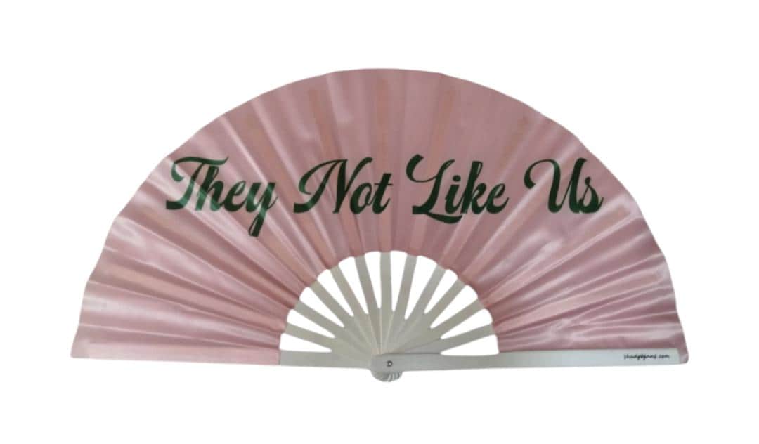 Alpha Kappa Alpha Large Hand Fan | They Not Like Us | Pinkies and ...