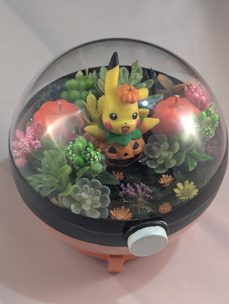 Pikachu Pokeball Terrarium - Etsy