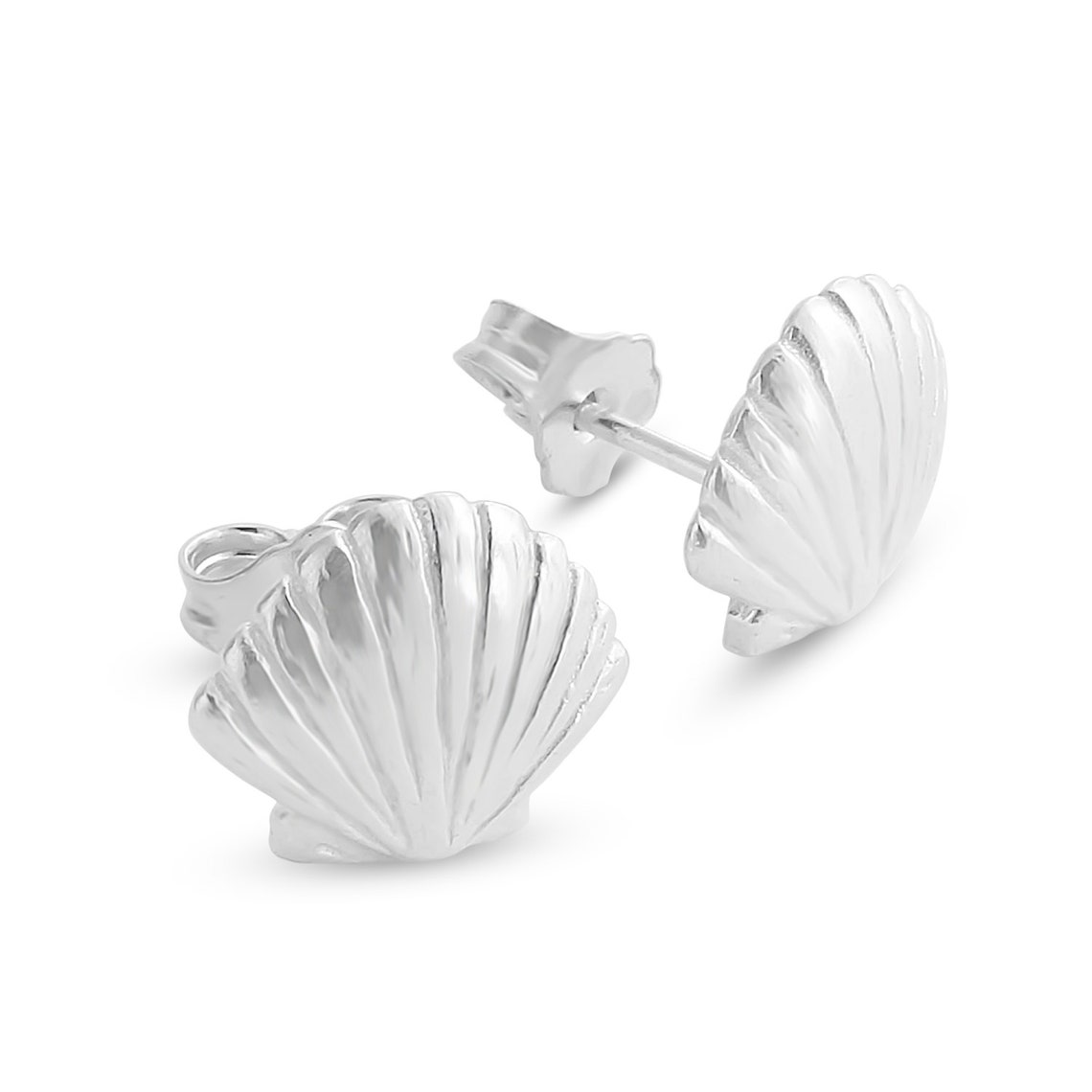 Cute Sea Scallop Seashell Clam Shell Shellfish Animal Nautical - Etsy