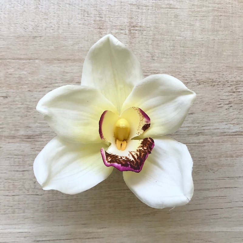 White Orchids Hair Flowers - Etsy