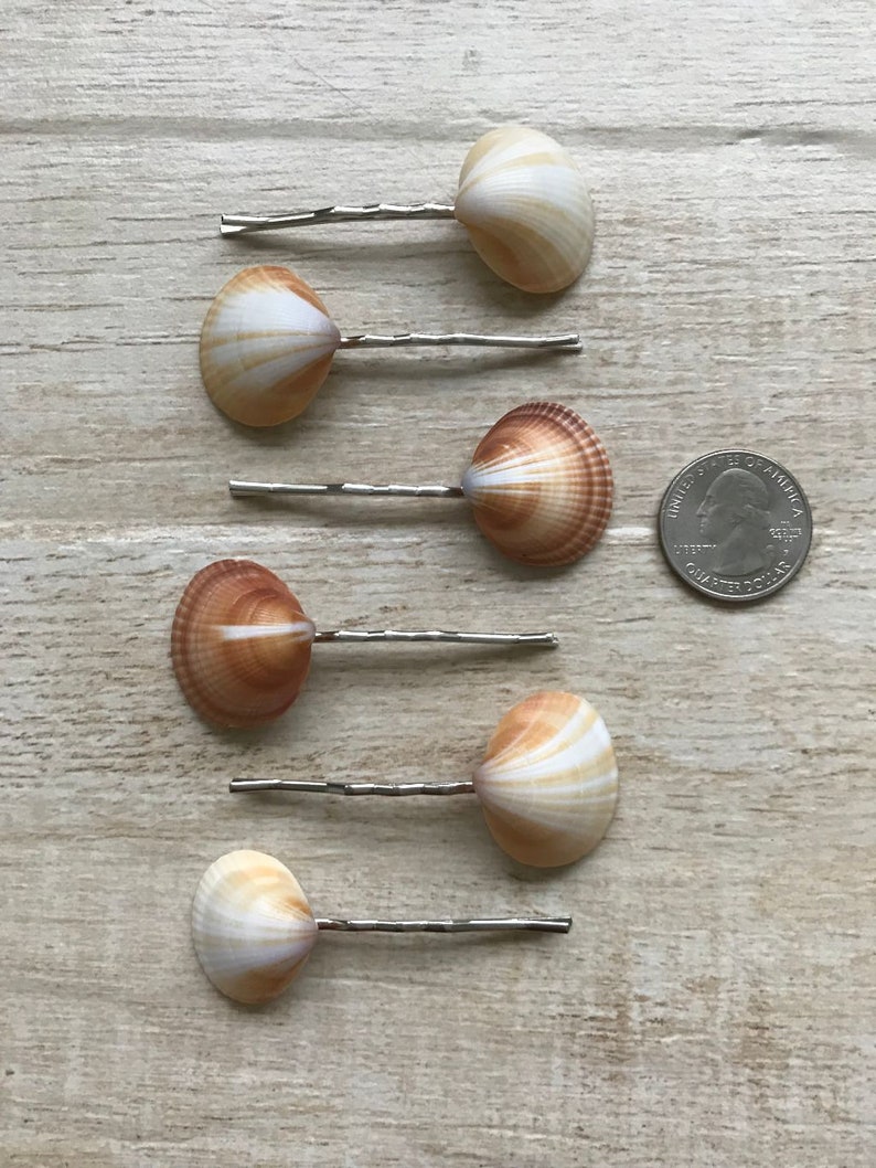 Shell Hair Pin Ocean Hair Style Beach Wedding Mermaid Costume | Etsy