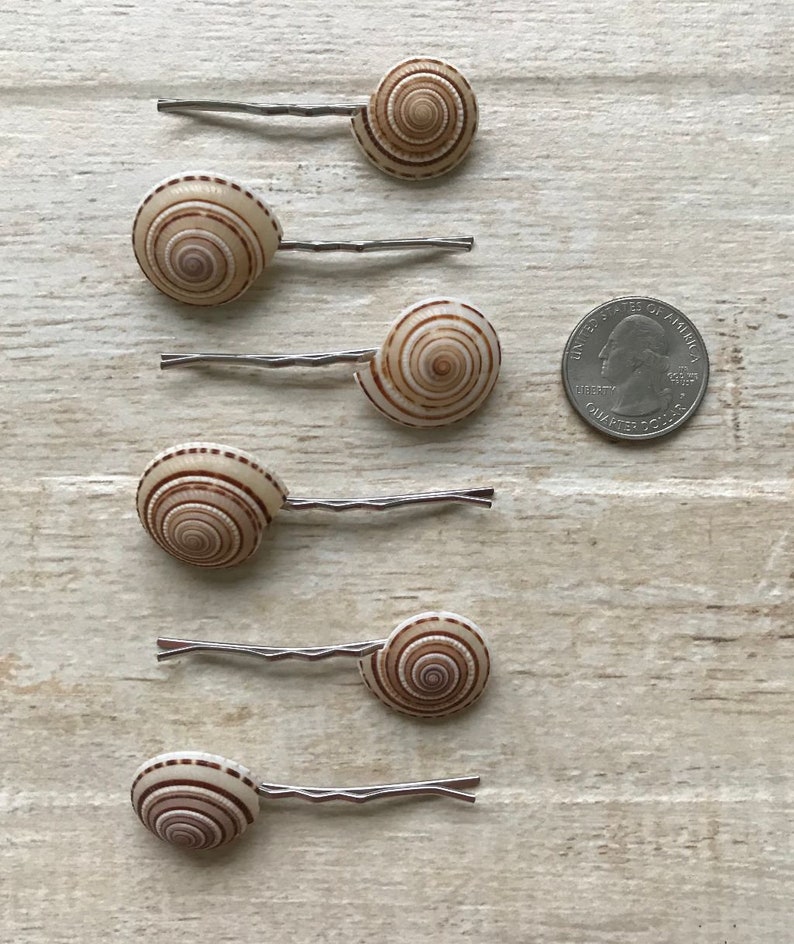 Shell Hair Pin Ocean Hair Style Beach Wedding Mermaid Costume | Etsy