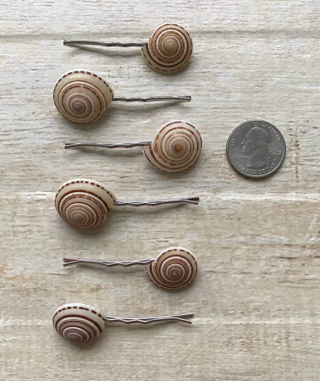 Shell Hair Pin Ocean Hair Style Beach Wedding Mermaid Costume - Etsy Israel