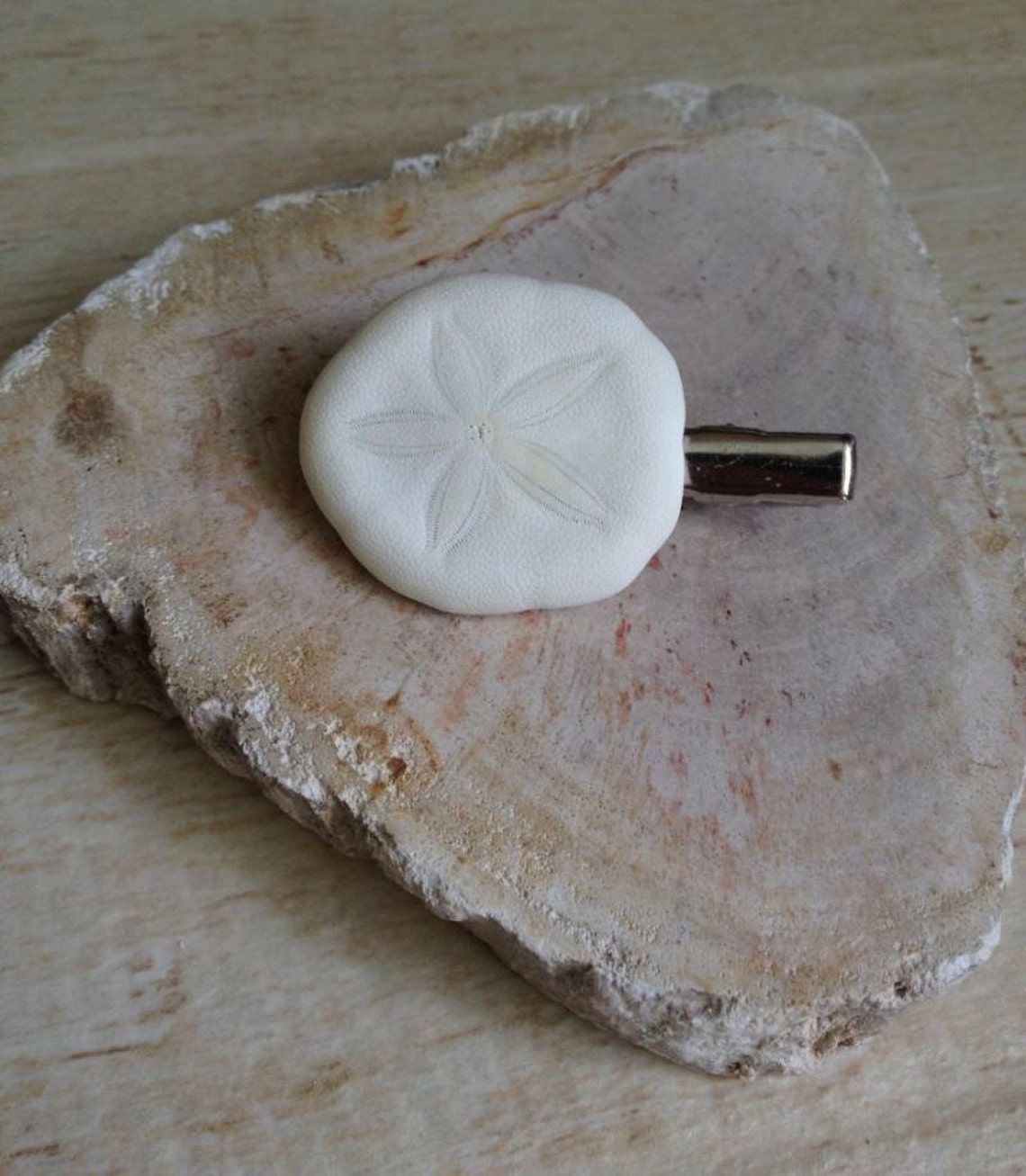 Beach Hair Clip Sea Biscuit Ocean Hair Style Cute Sea - Etsy