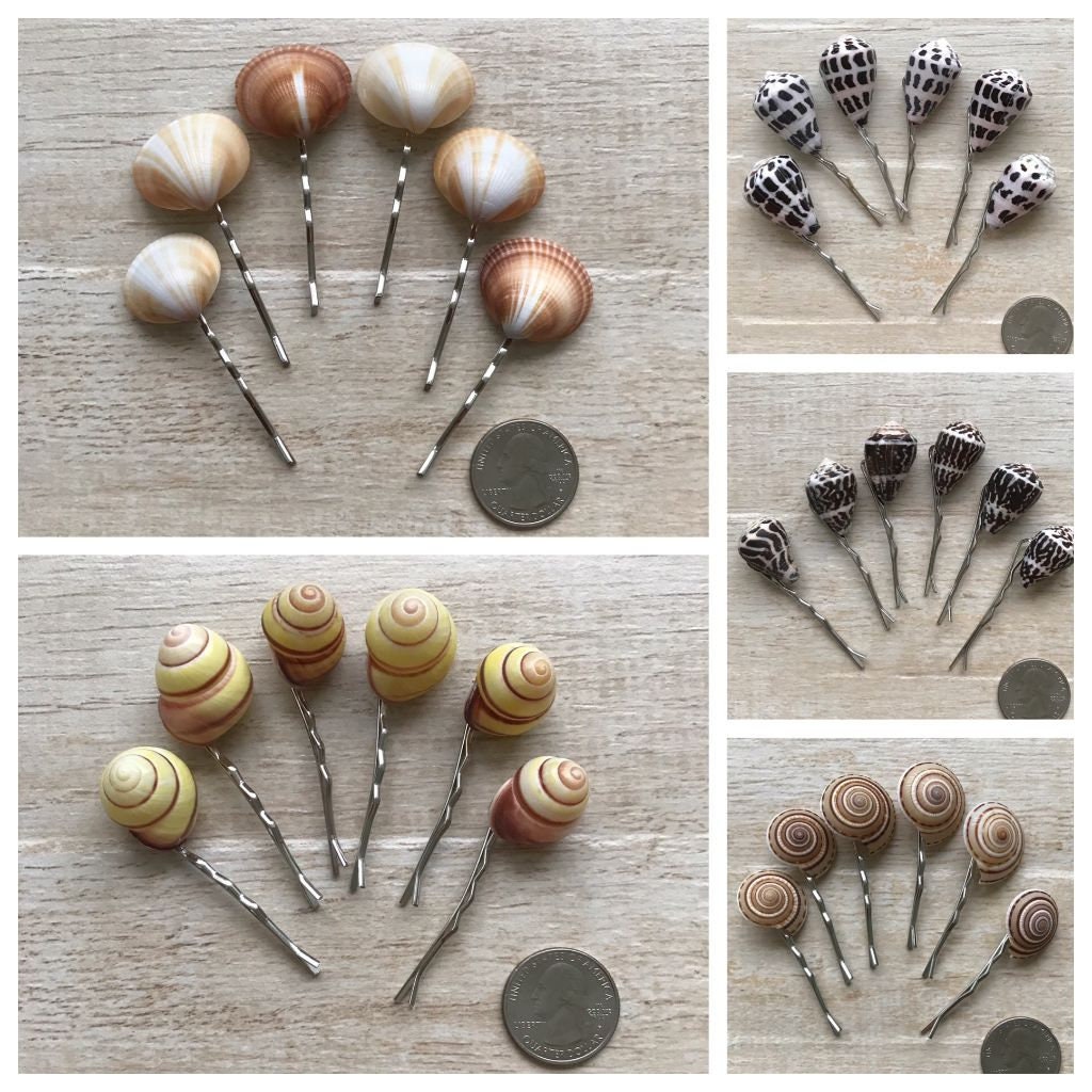 Shell Hair Pin Ocean Hair Style Beach Wedding Mermaid Costume - Etsy Israel