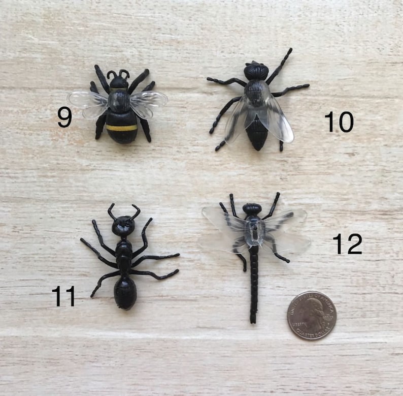 Bug Insect Hair Clip Fly Bee Beetle Spider Scorpion Creepy | Etsy