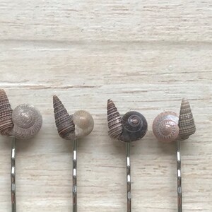 Shell Hair Pin Ocean Beach Wedding Mermaid Costume Boho Hippie Music ...