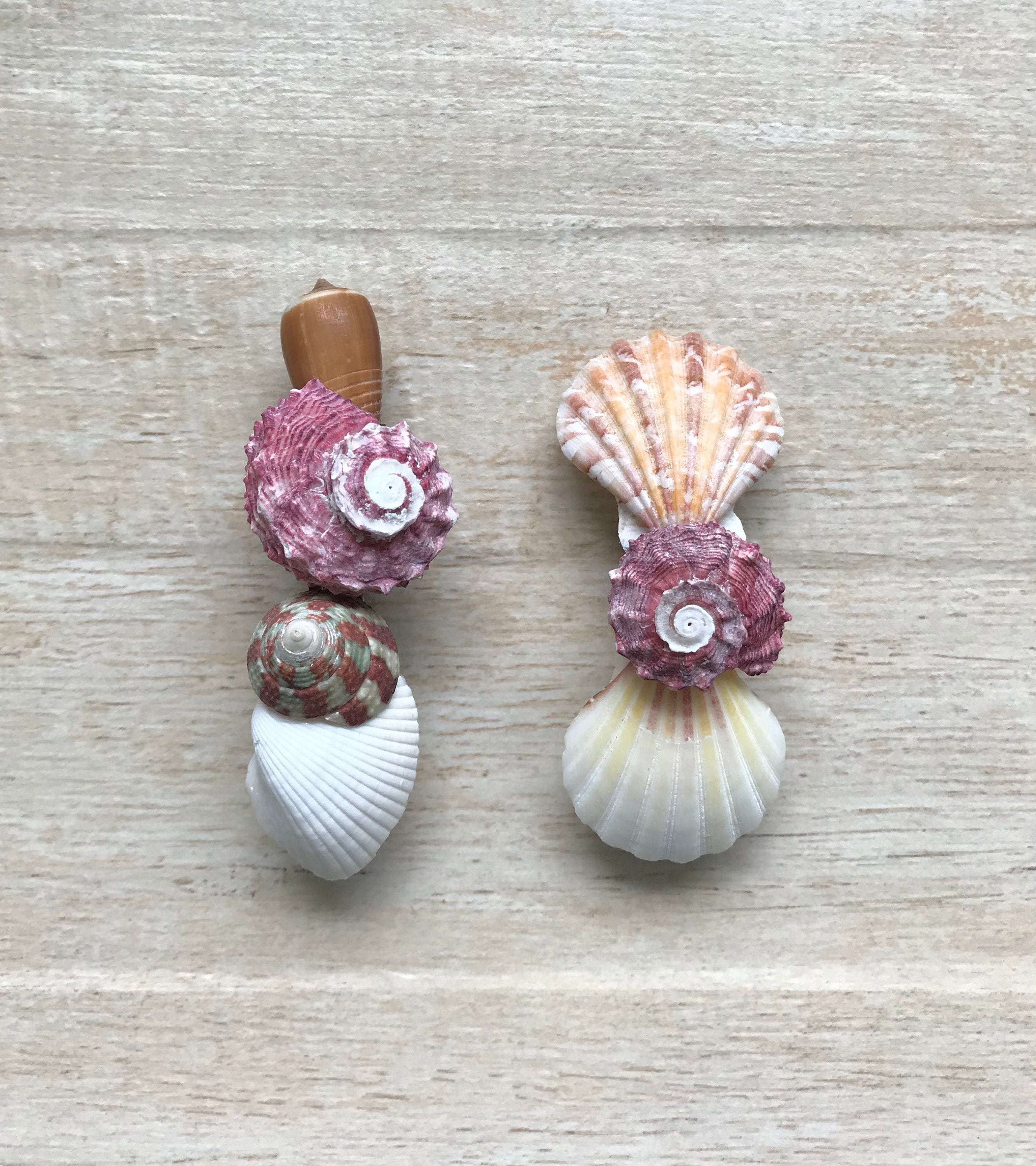 Shell Hair Clip Barrette Ocean Under The Sea Hairstyle Beach | Etsy