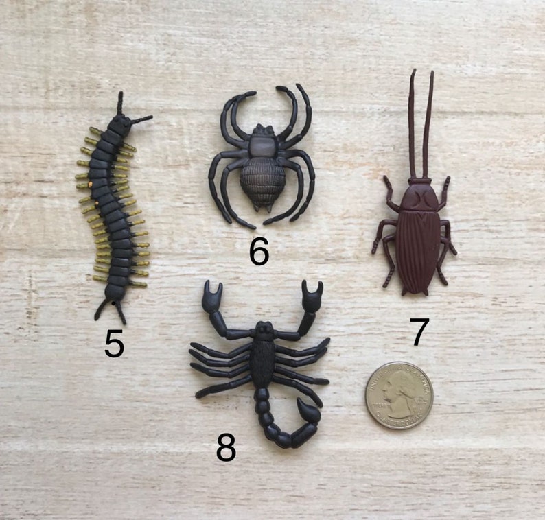 Bug Insect Hair Clip Fly Bee Beetle Spider Scorpion Creepy | Etsy