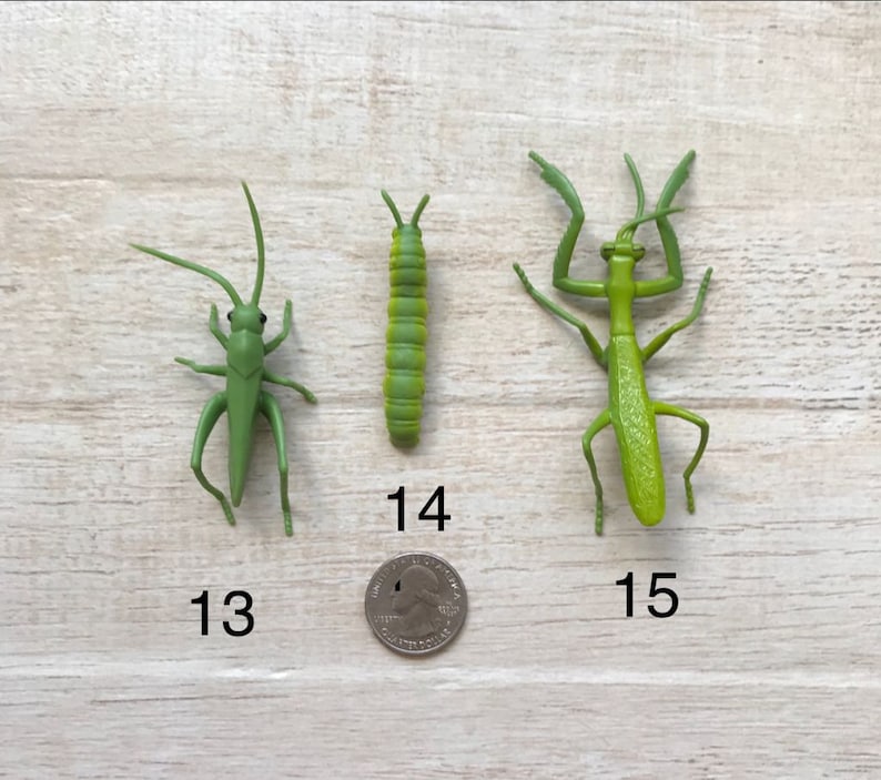 Bug Insect Hair Clip Fly Bee Beetle Spider Scorpion Creepy - Etsy