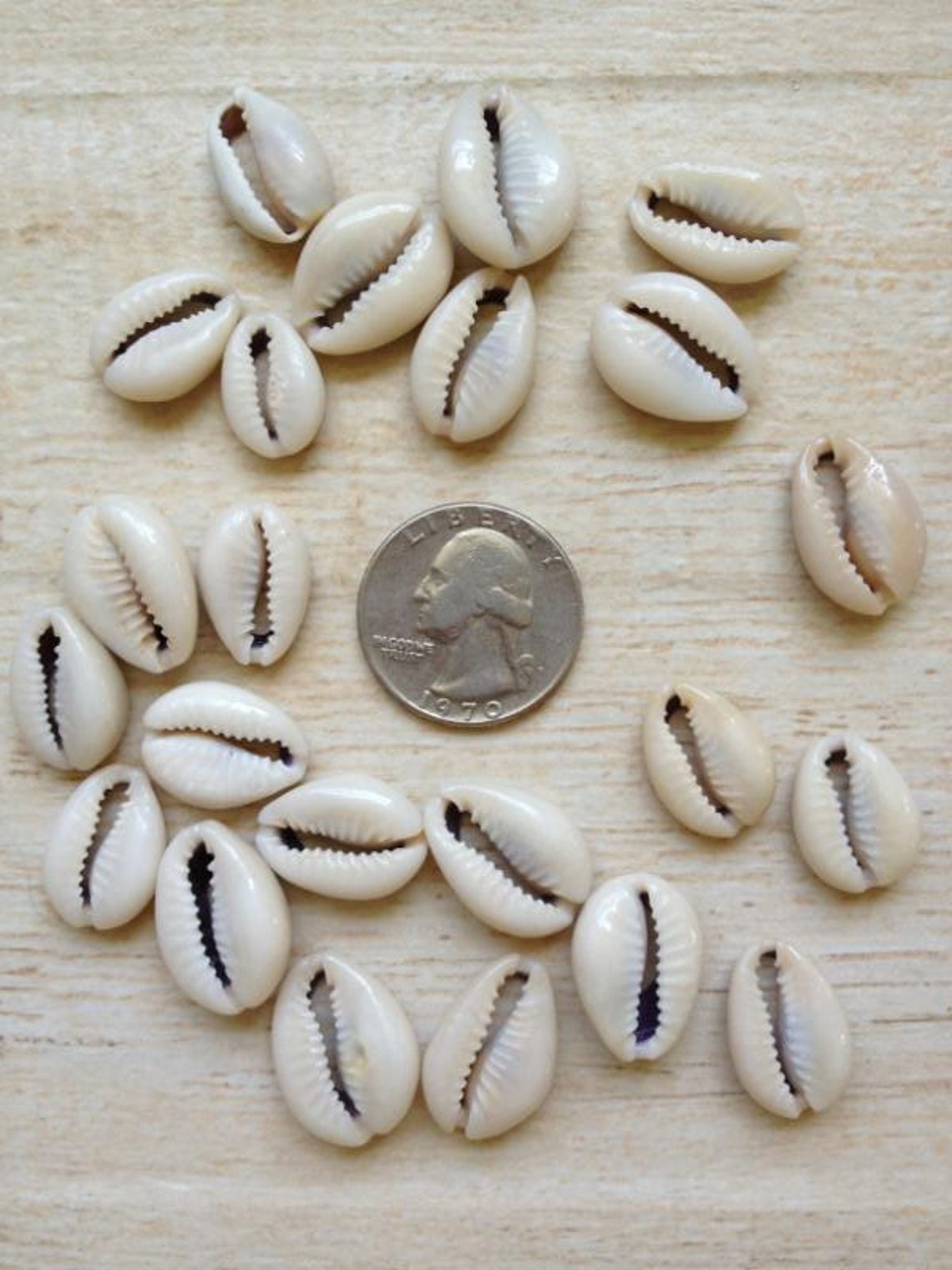 Cowrie Shell Hair Pin Beach Hairstyle Ocean Seashore Surfer - Etsy