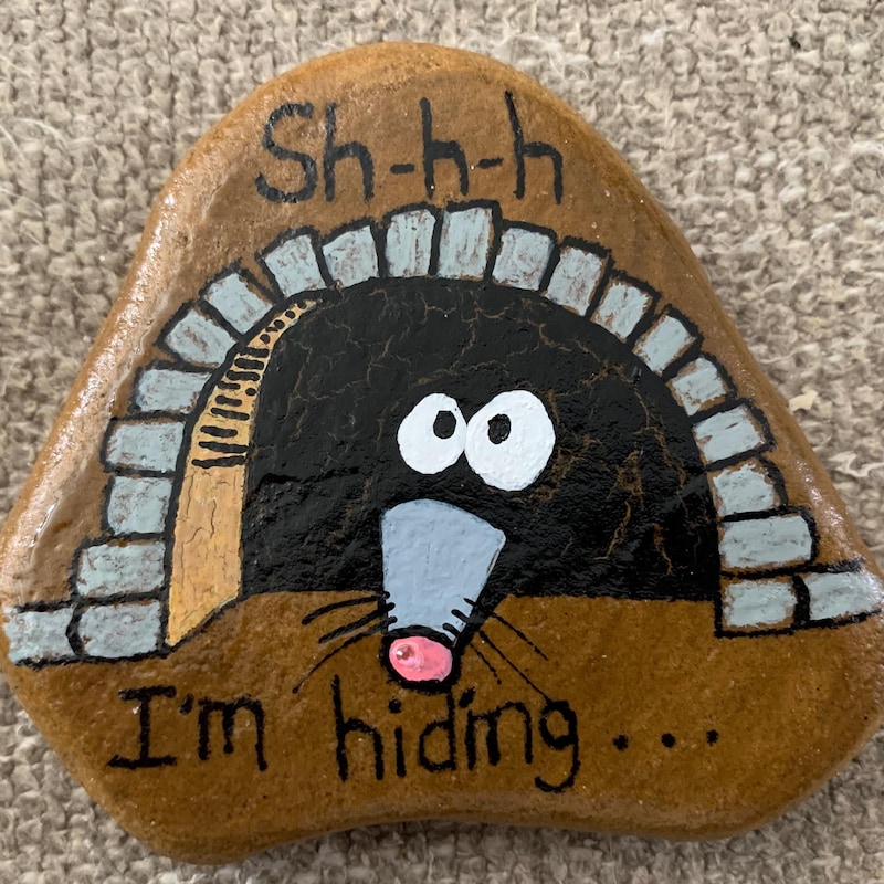 Cartoon Painted Rocks - Etsy