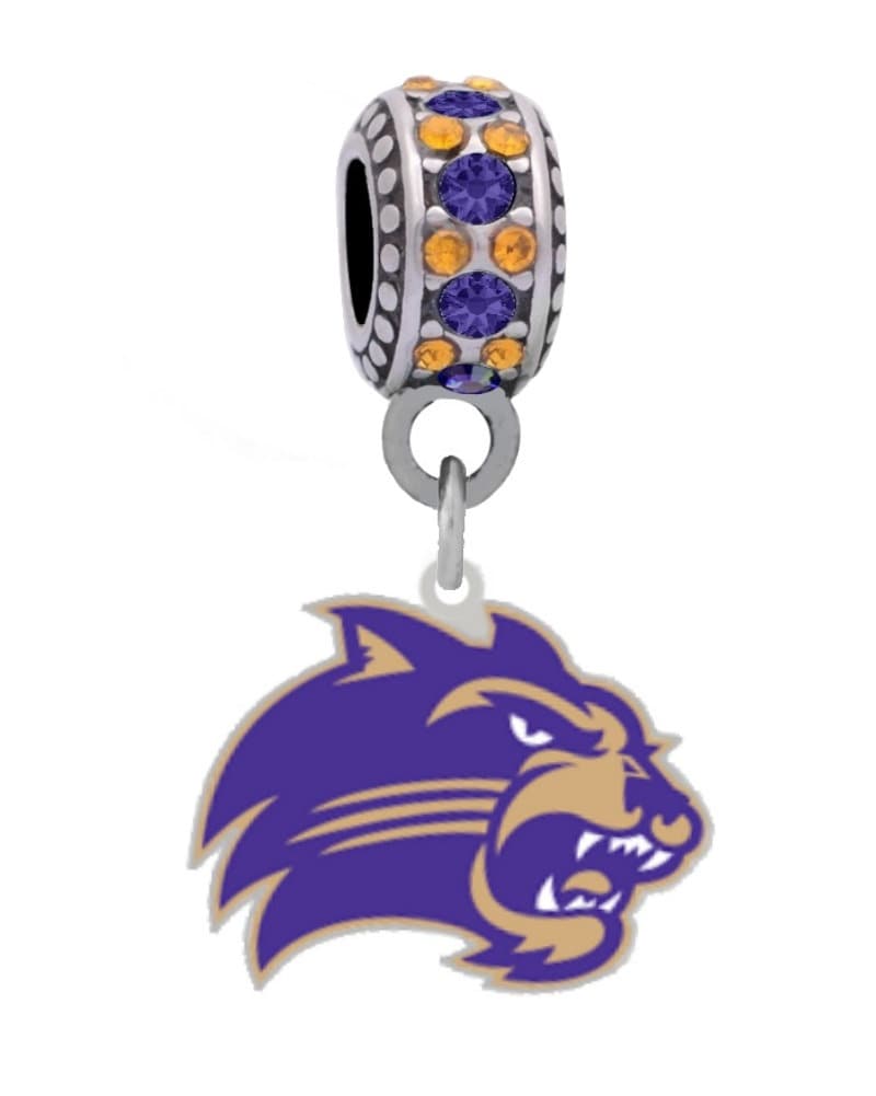 WESTERN CAROLINA University Logo Charm Fits Large Hole European Style ...