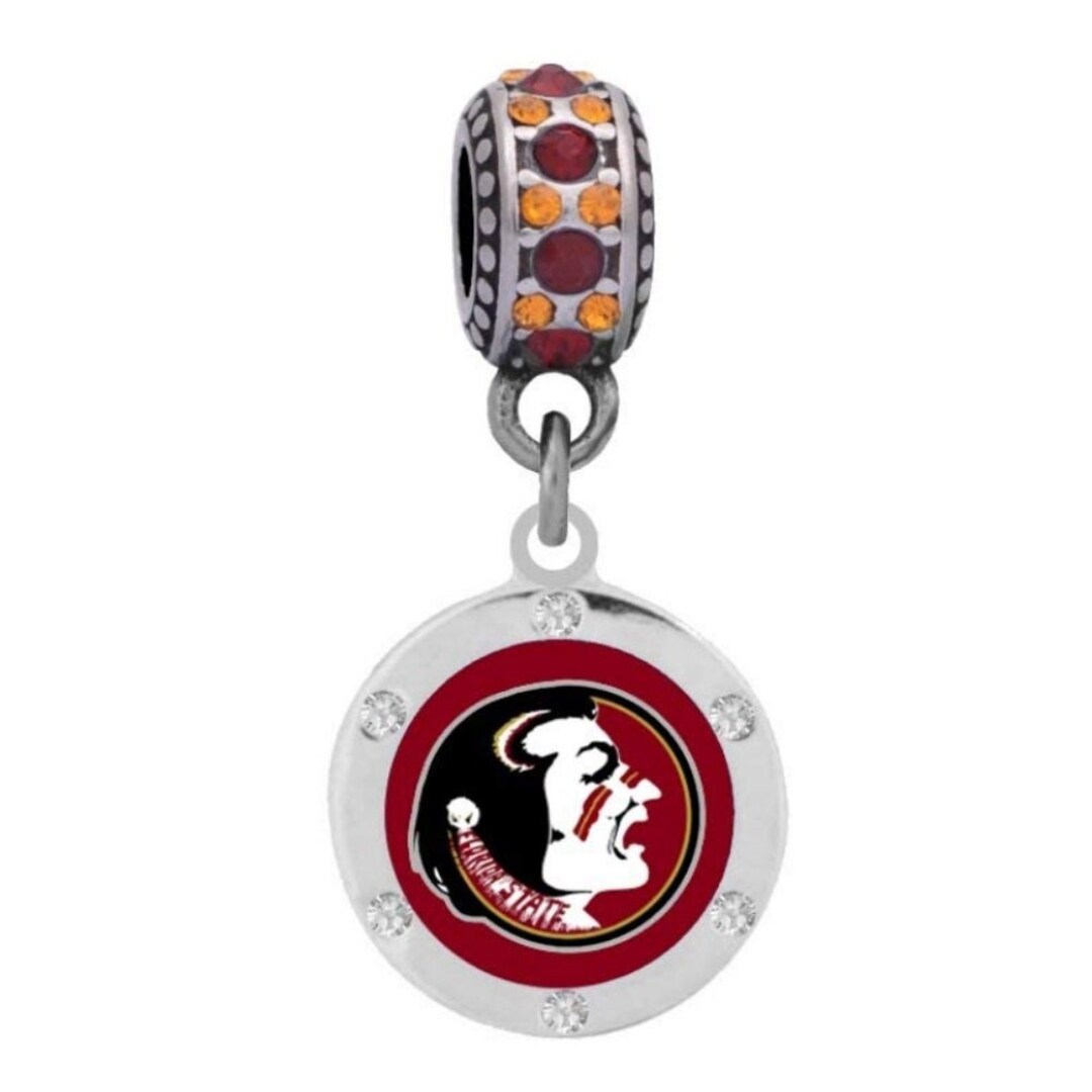 FLORIDA STATE Crystal Charm Compatible With Pandor Style Bracelets - Etsy