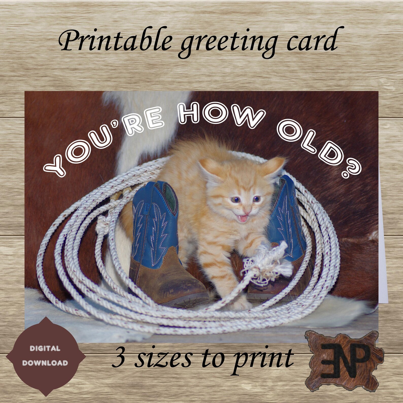 Scaredy Cat Instant Digital Download Printable Birthday Card - 3 Card ...