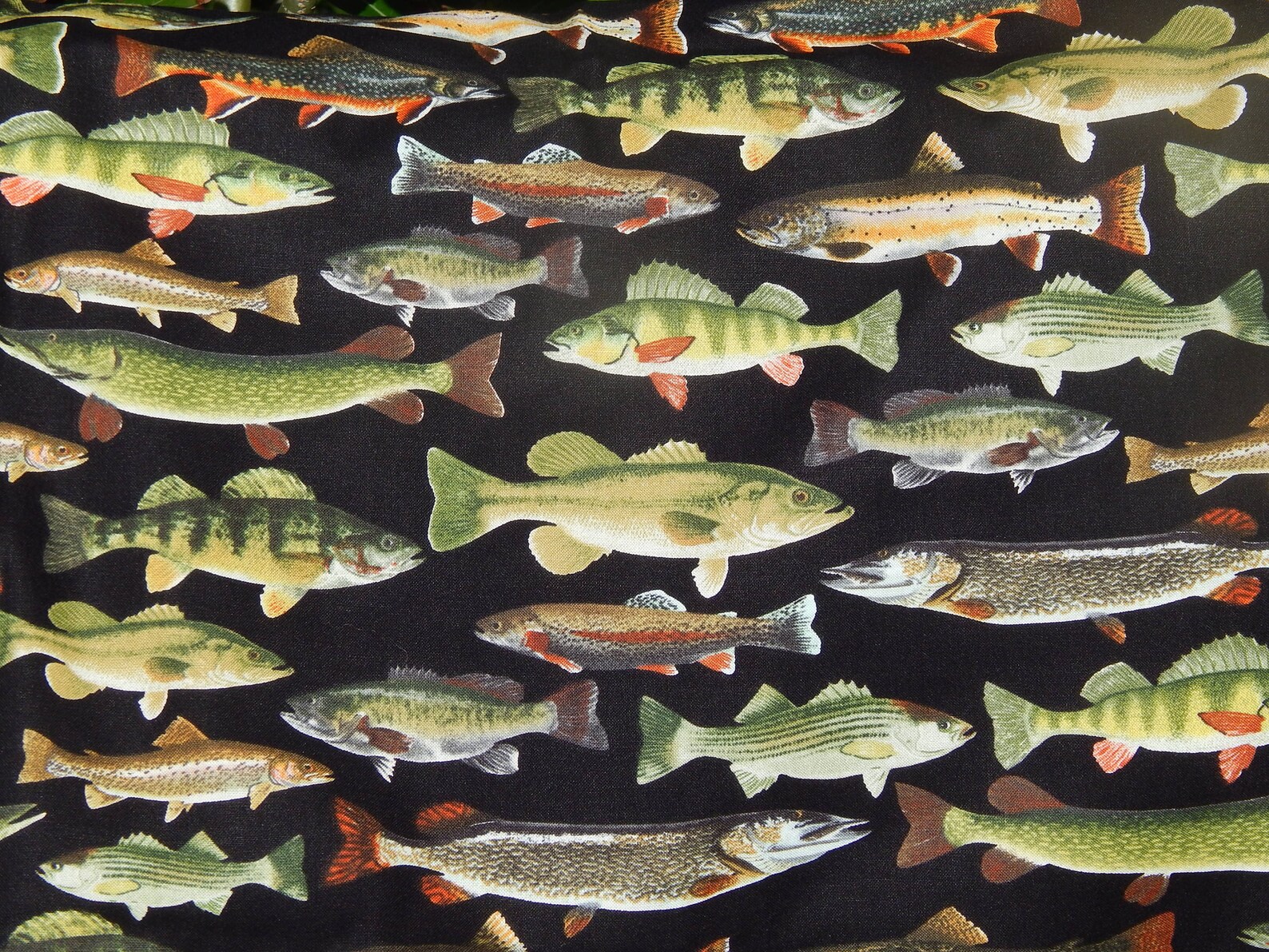 Scrub Caps Featuring Popular Freshwater Fish. - Etsy