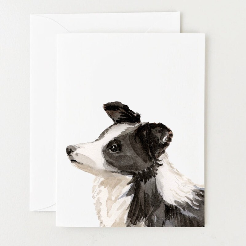 Collie Cards - Etsy