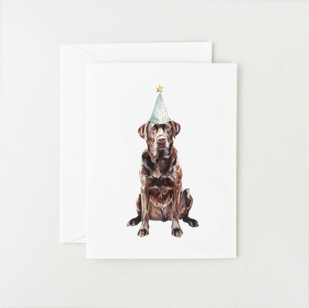 Chocolate Lab Birthday Card, Dog Greeting Card Set, Blank Card for ...