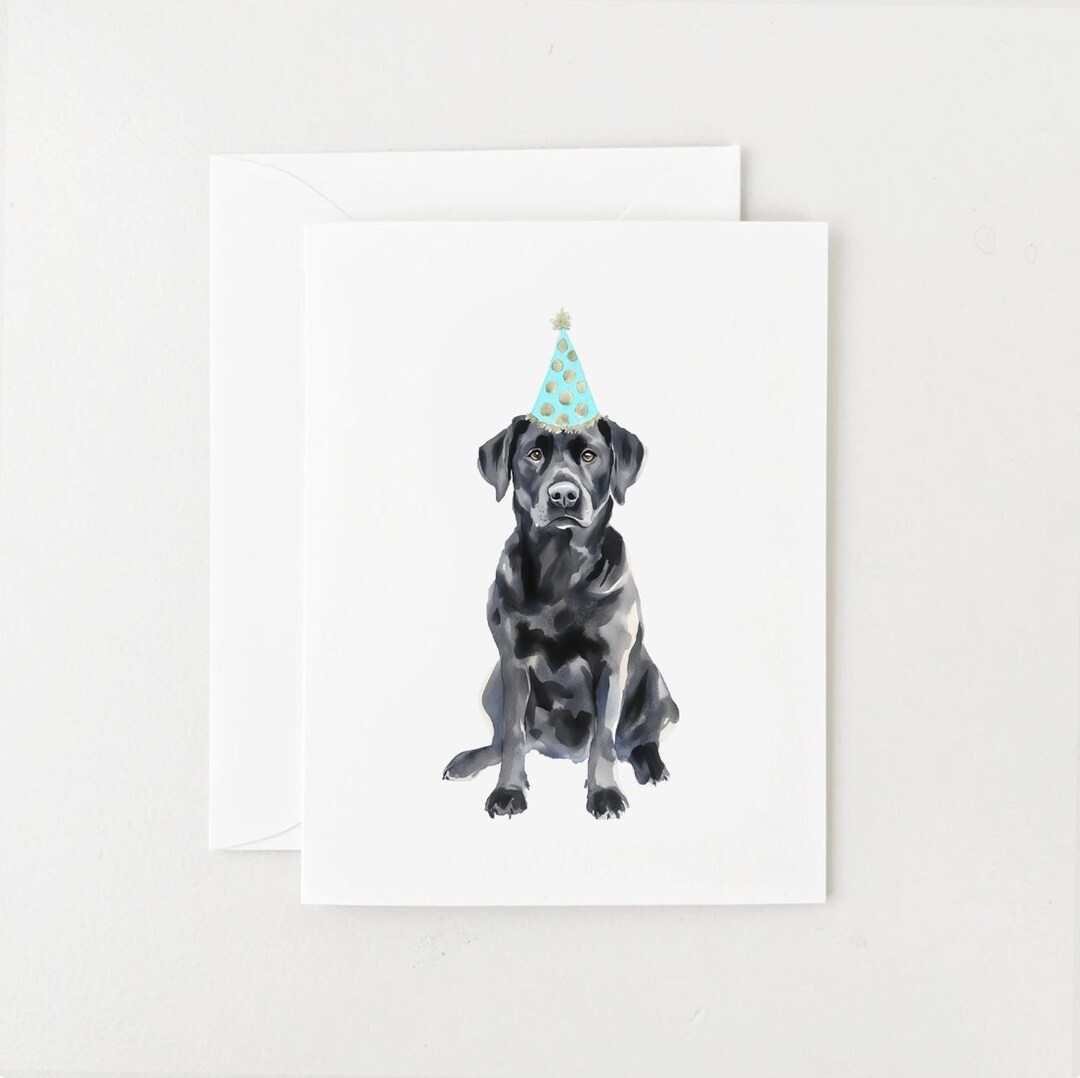 Black Lab Birthday Card, Dog Greeting Card Set, Labrador Retriever - Etsy