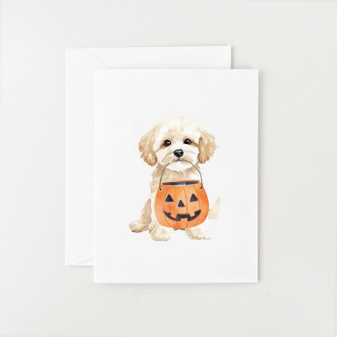 Dog Halloween Card Maltipoo Greeting Card With Pumpkin - Etsy