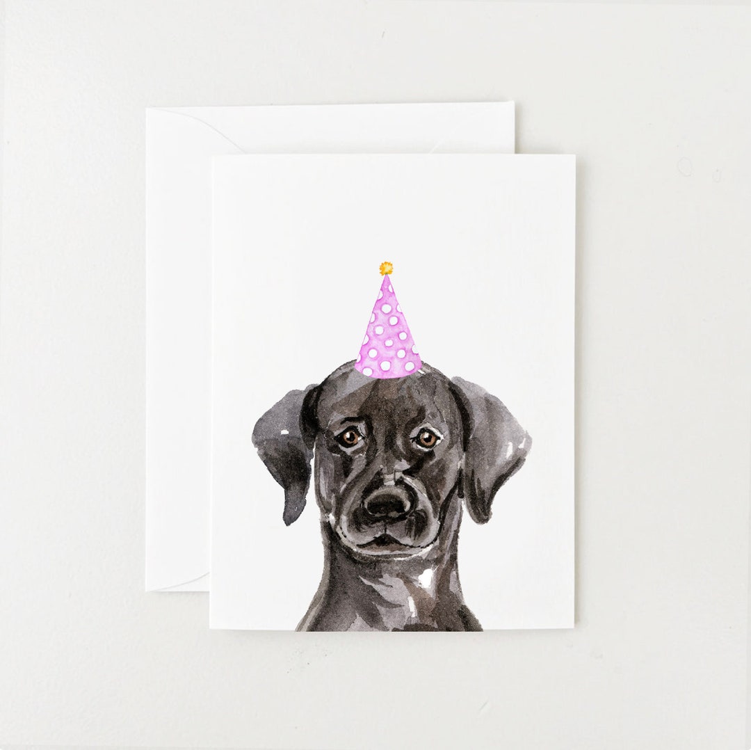 Black Lab Birthday Card, Dog Greeting Card Set, Labrador Retriever - Etsy