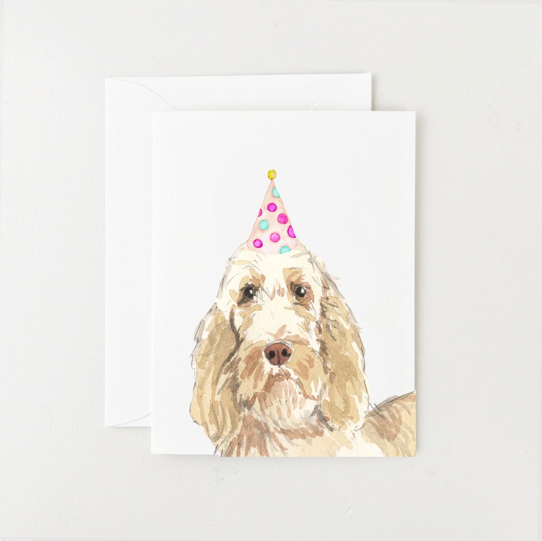 Spinone Italiano Card, Dog Birthday Card, Italian Coarsehaired Pointer ...