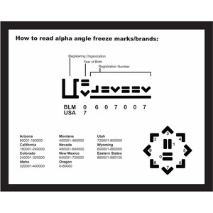 Custom BLM Mustang or Burro Freeze Brand Freeze Mark Graphic File - Etsy