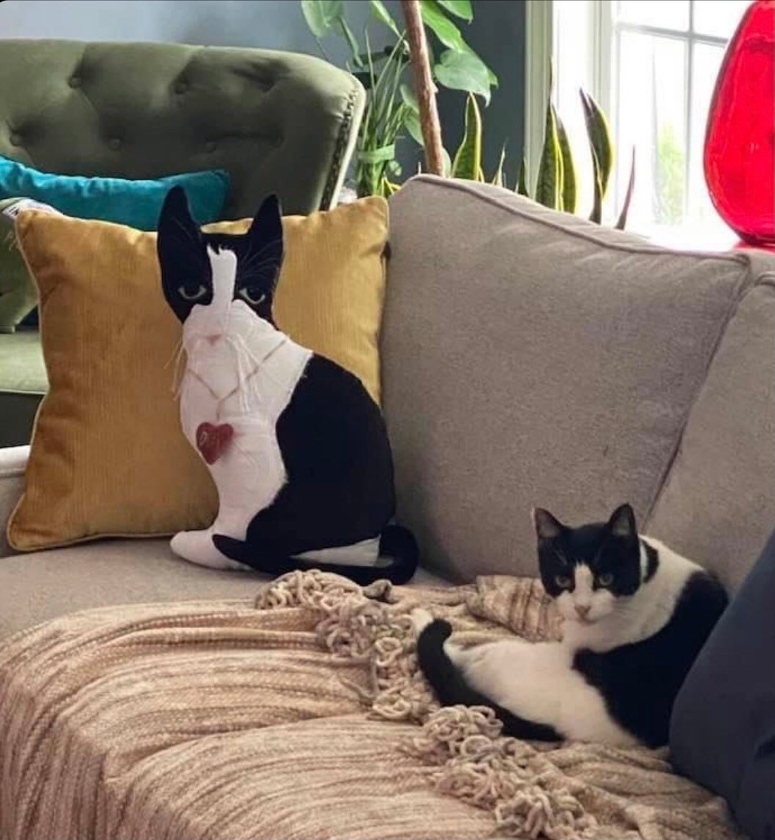 Quality Pet Custom Cat Commission .unique Gift Personalised Just Send ...