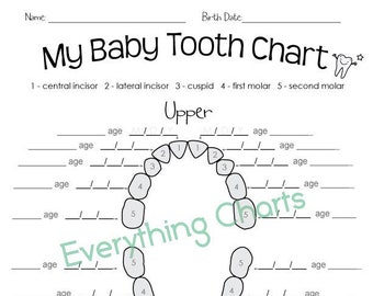 BABY Tooth Chart, Printable Tooth Eruption Chart & Lost Tooth Chart ...