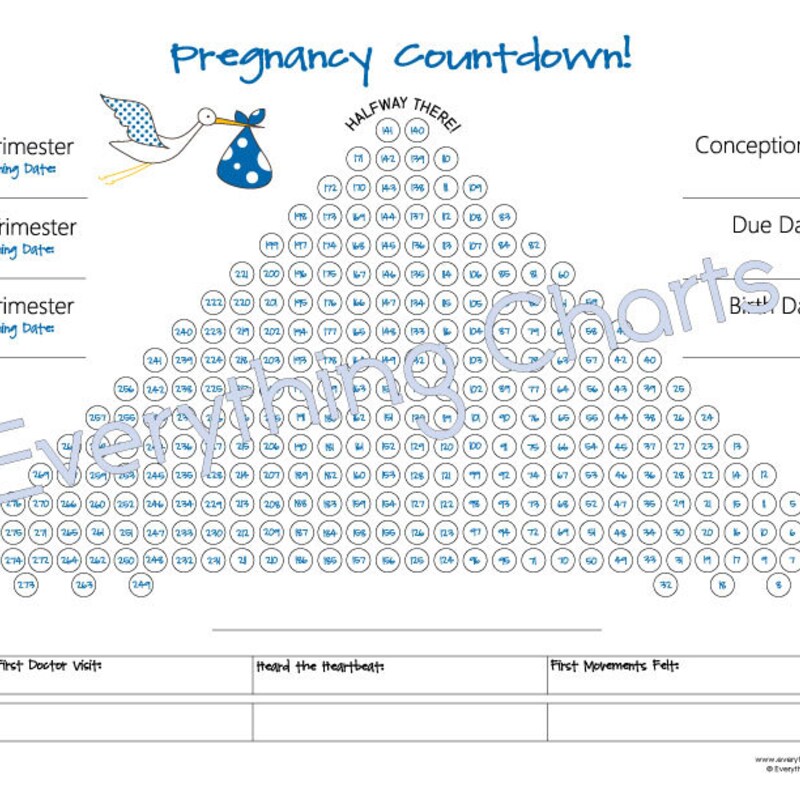 EverythingCharts - Etsy