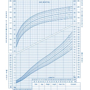 Baby Growth Chart - PDF File/printable - Etsy