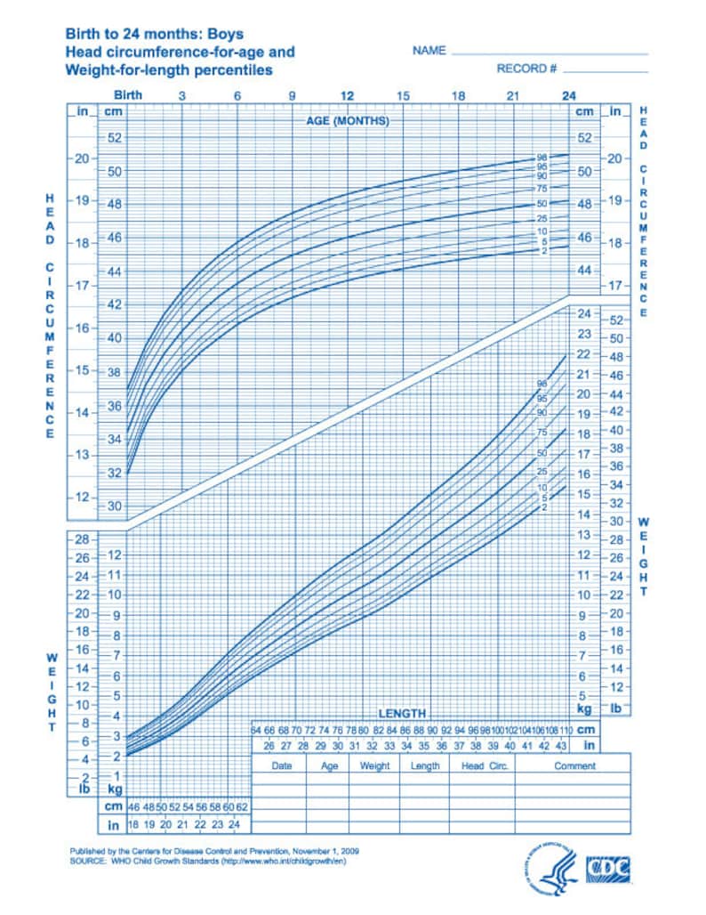 Baby Growth Chart - PDF File/printable - Etsy