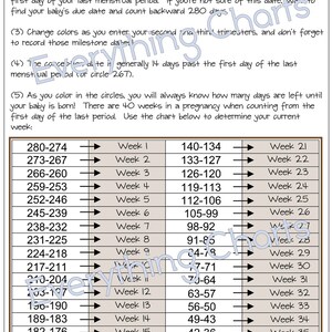 Pregnancy Countdown Chart - PDF Files/printable - Etsy