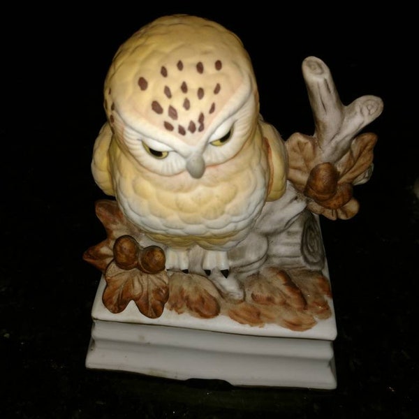 Owl Music Box - Etsy