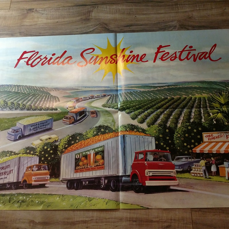 Florida Citrus - Etsy