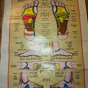 Vintage Reflexology Foot Chart - Etsy