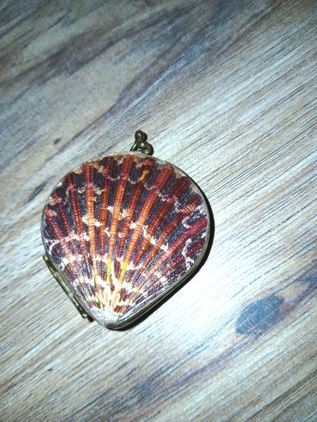 Vintage Shell Trinket Box Pill Box Etc - Etsy